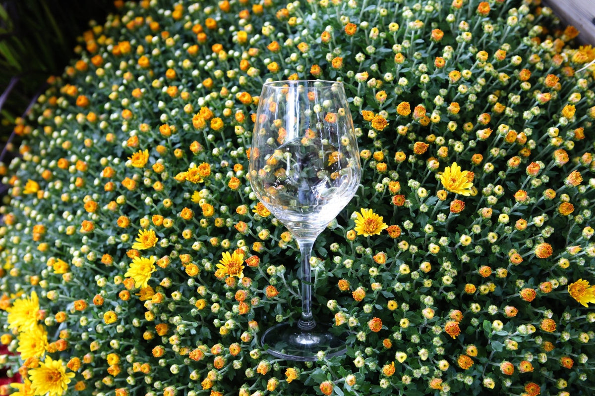 6 vins nature à découvrir ce printemps, comme un bouquet à boire – Le ...